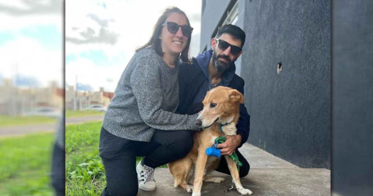 Apareció Homero, el perro que estuvo desaparecido más de dos semanas en ...