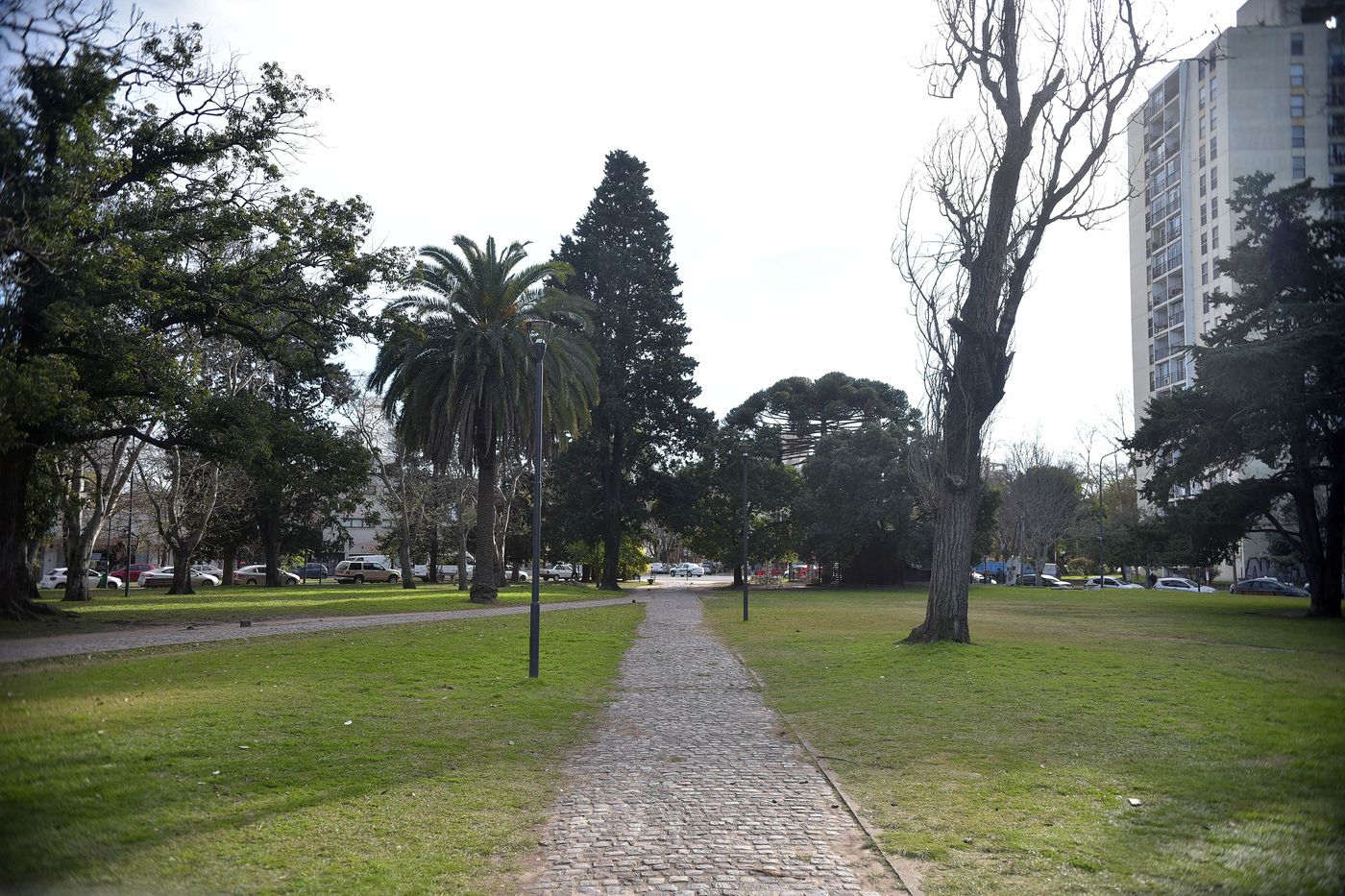 Ponen en valor el Parque Saavedra de La Plata con distintas tareas