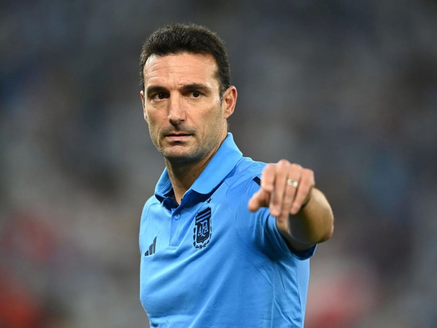 Video: sin vueltas, Lionel Scaloni confirmó que se queda en la ...