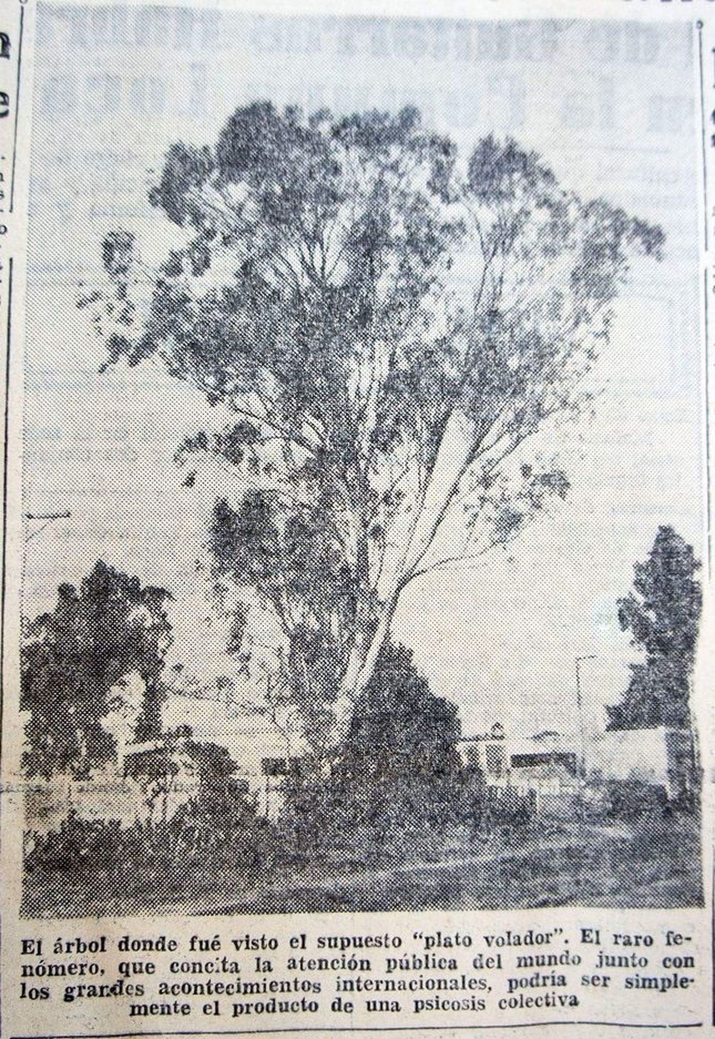 A 78 años del primer ovni en La Plata, buscan declarar el Día Nacional ...