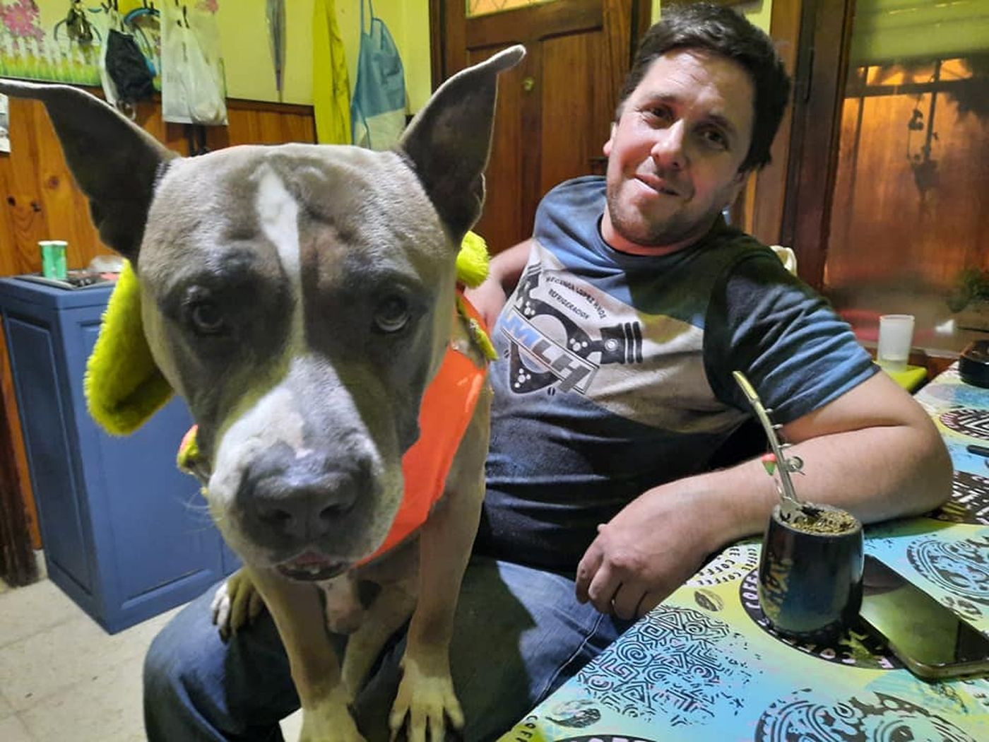 Así vive la pareja de Ana Fiorino a un año del choque en La Plata que ...