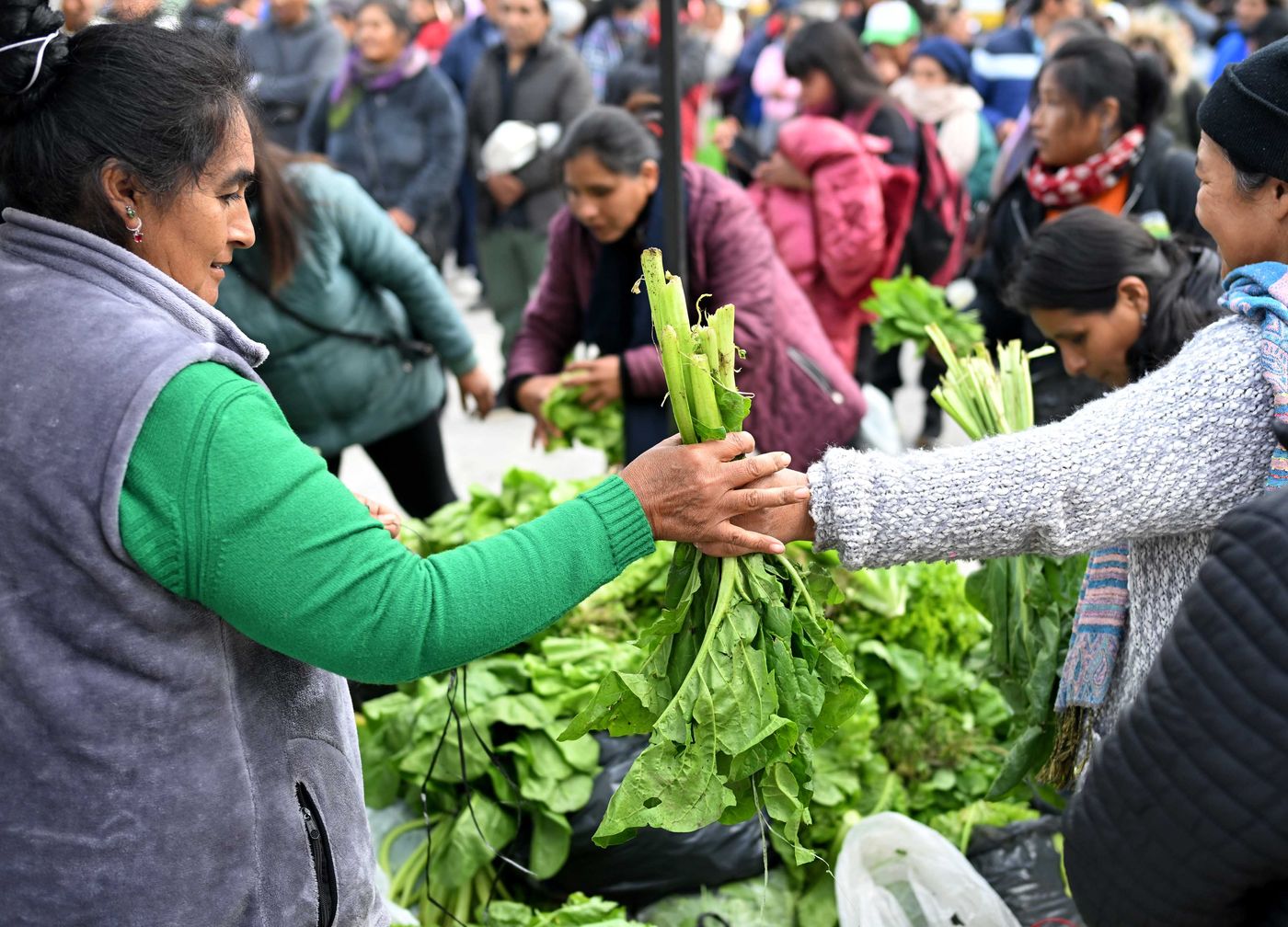 Productores hortícolas hicieron un verdurazo en Plaza Moreno para ...