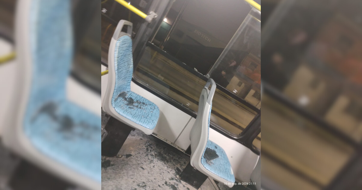 El dramático relato de una joven de La Plata que iba a bordo de un micro apedreado