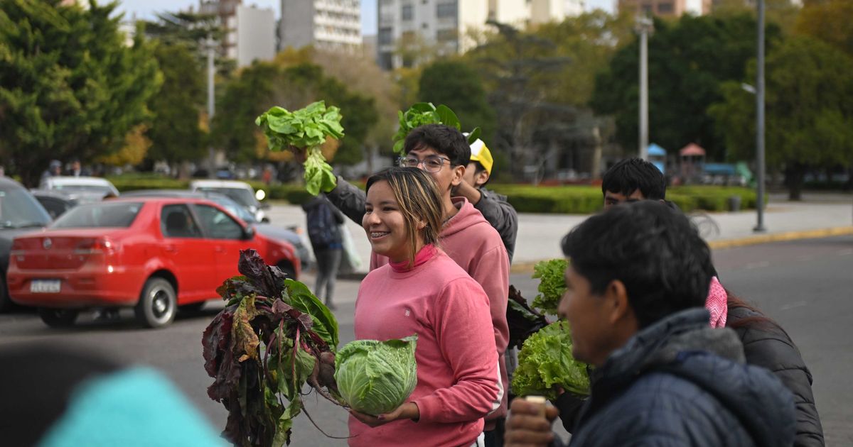 Productores hortícolas hicieron un verdurazo en Plaza Moreno para ...