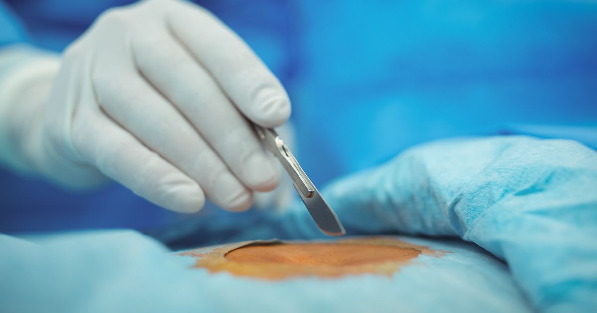 ¿Cuáles son las pruebas por las que la Justicia de La Plata indagará a ...