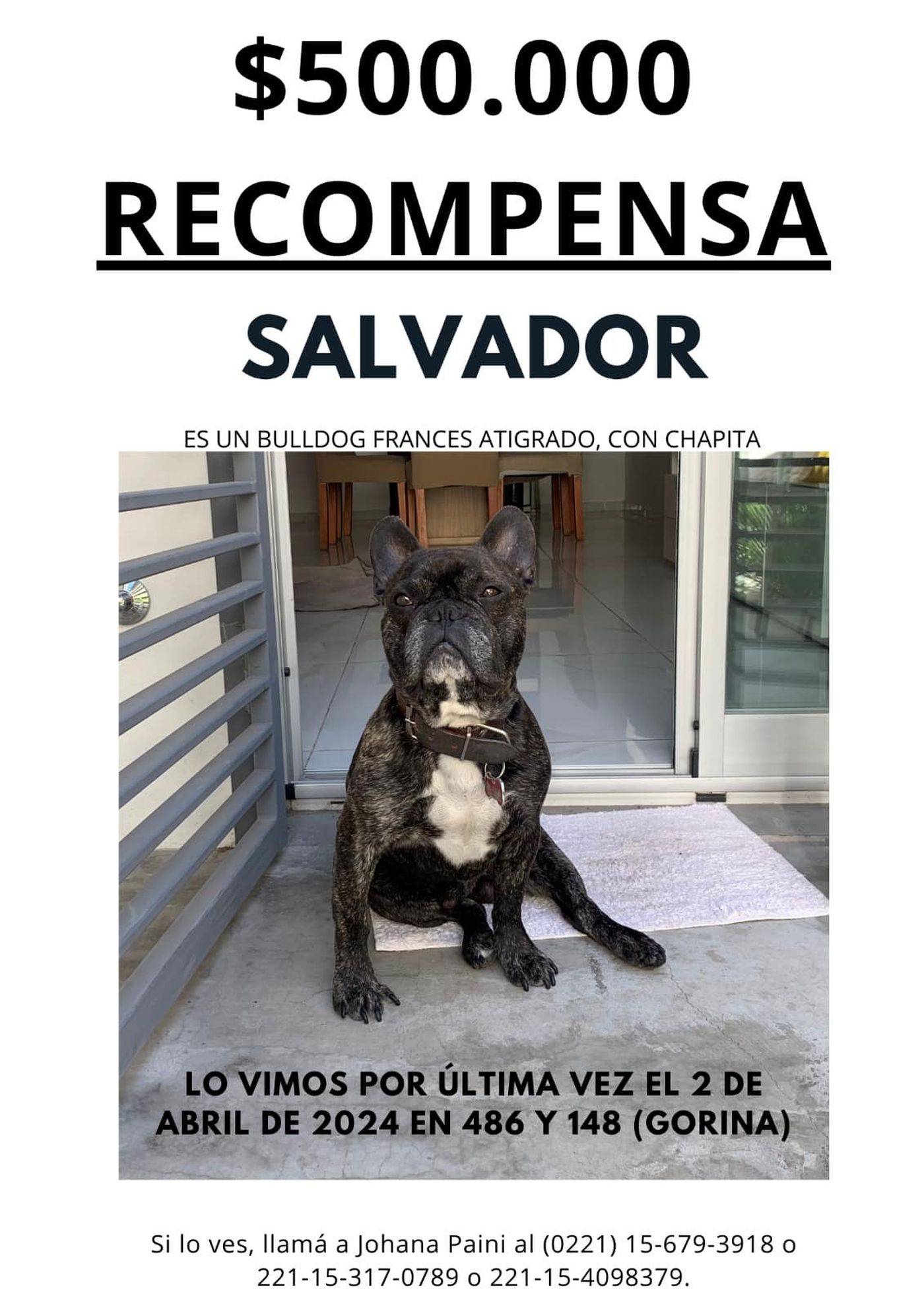 Ofrecen medio millón de pesos por un perro perdido en La Plata