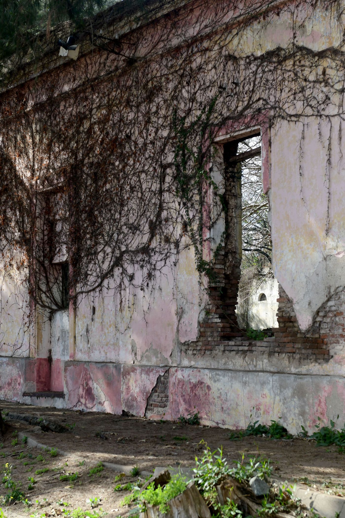 Viaje a la Isla Martín García: límite internacional de La Plata, cárcel ...