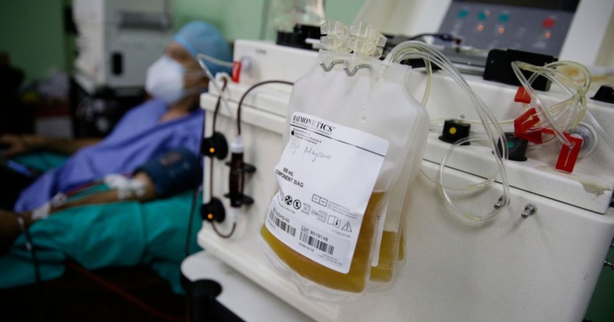 Científicos argentinos aseguran que el plasma transforma al COVID-19 en ...