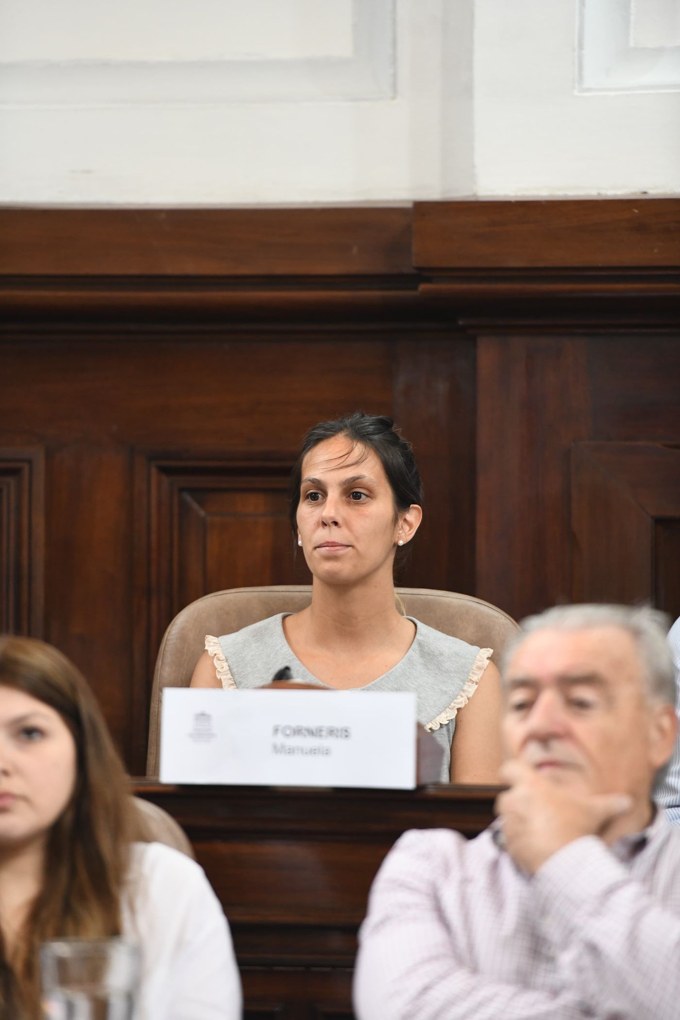 Aprobaron en La Plata la ordenanza que permite asfaltar calles con ...