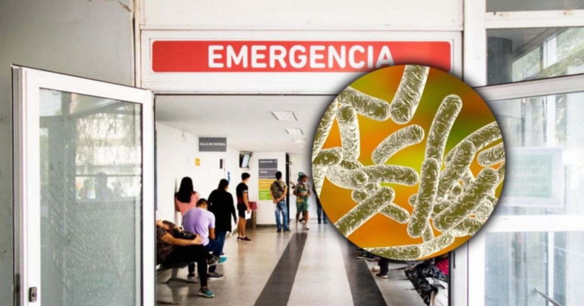 ¿Qué es la Legionella, cómo se transmite y por qué puede ser mortal?