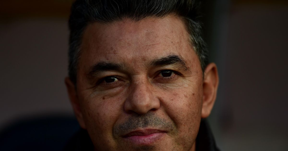 ¿Qué le dijo Marcelo Gallardo a Sebastián Boselli sobre el interés de ...
