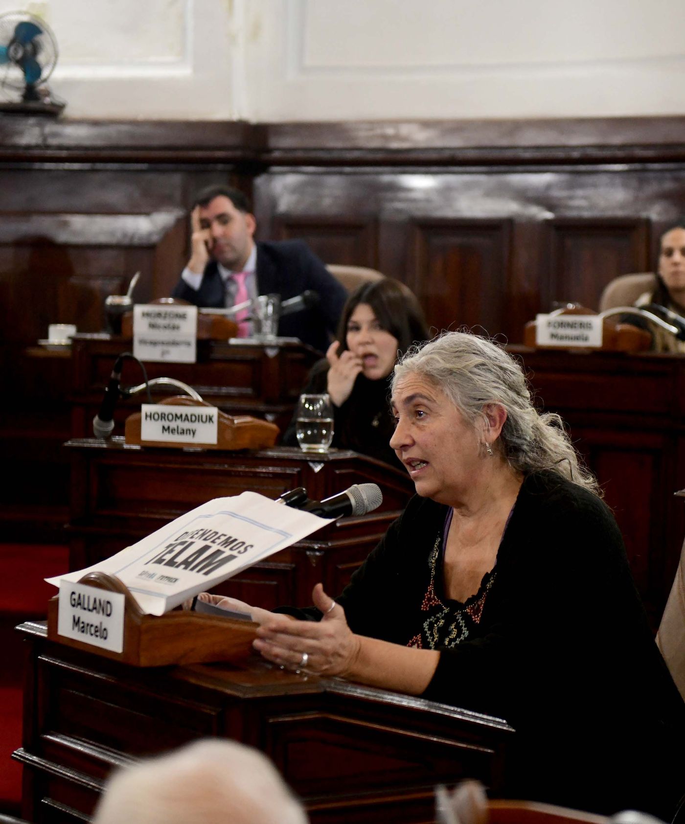 Concejo Deliberante: declararon personalidad destacada de La Plata a la ...