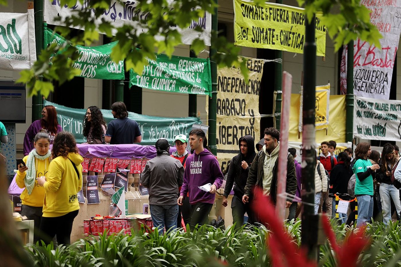 Elecciones en la UNLP: ¿cuántas agrupaciones participan y cuáles son?