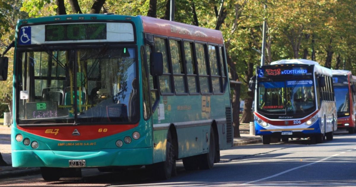 Metrobus, recorridos y descentralización: claves del nuevo sistema de ...