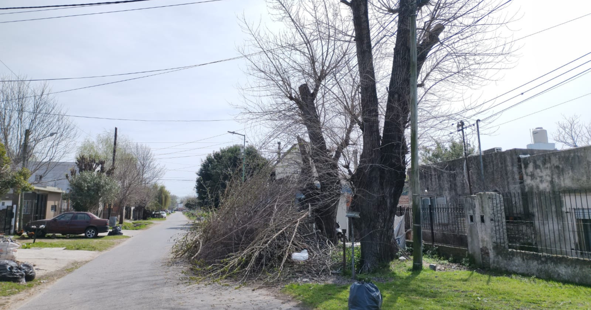 Vecinos de San Carlos reclaman por ramas, calles en mal estado y ...