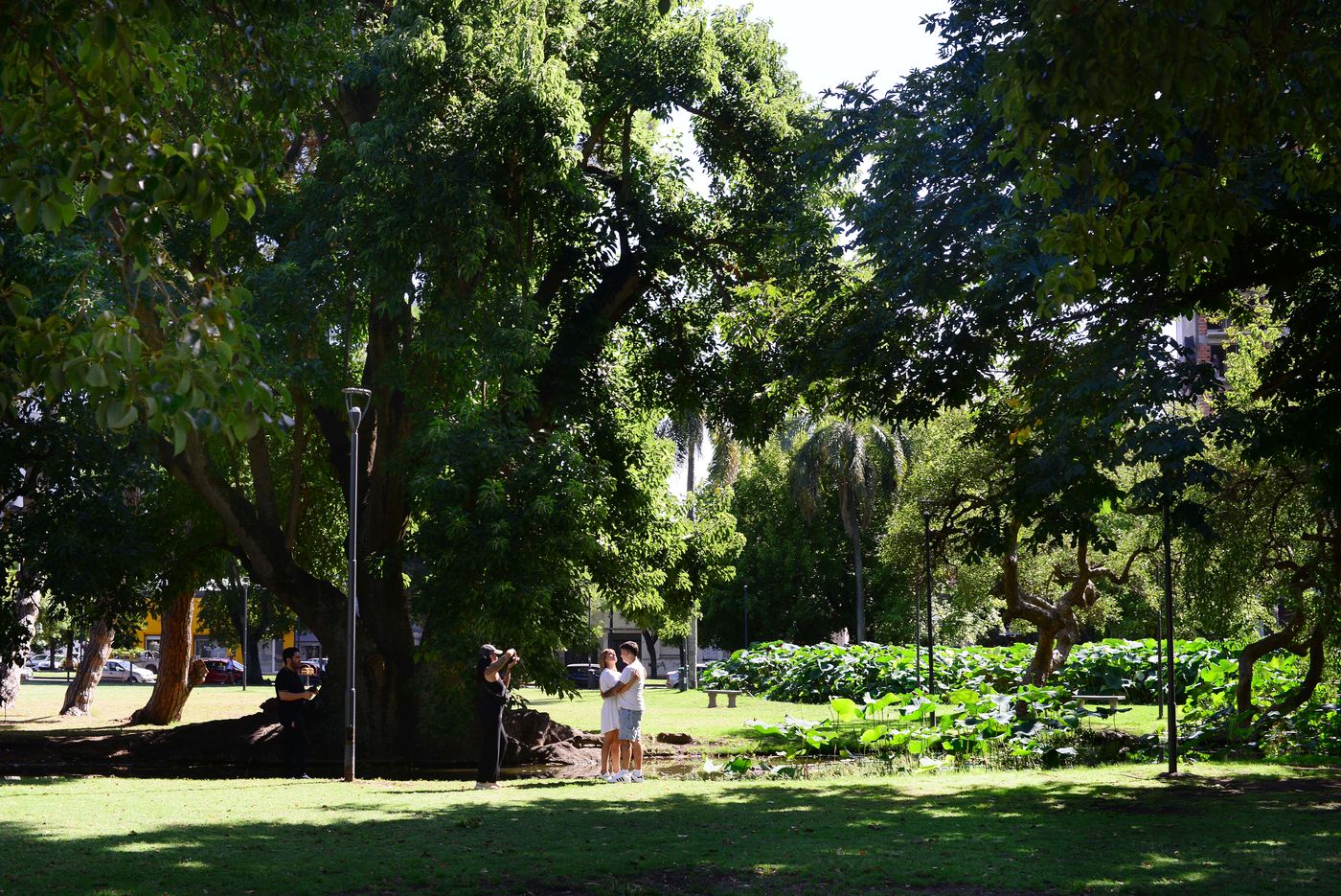 Tras la inauguración de Plaza Rocha, anuncian obras en el Parque ...