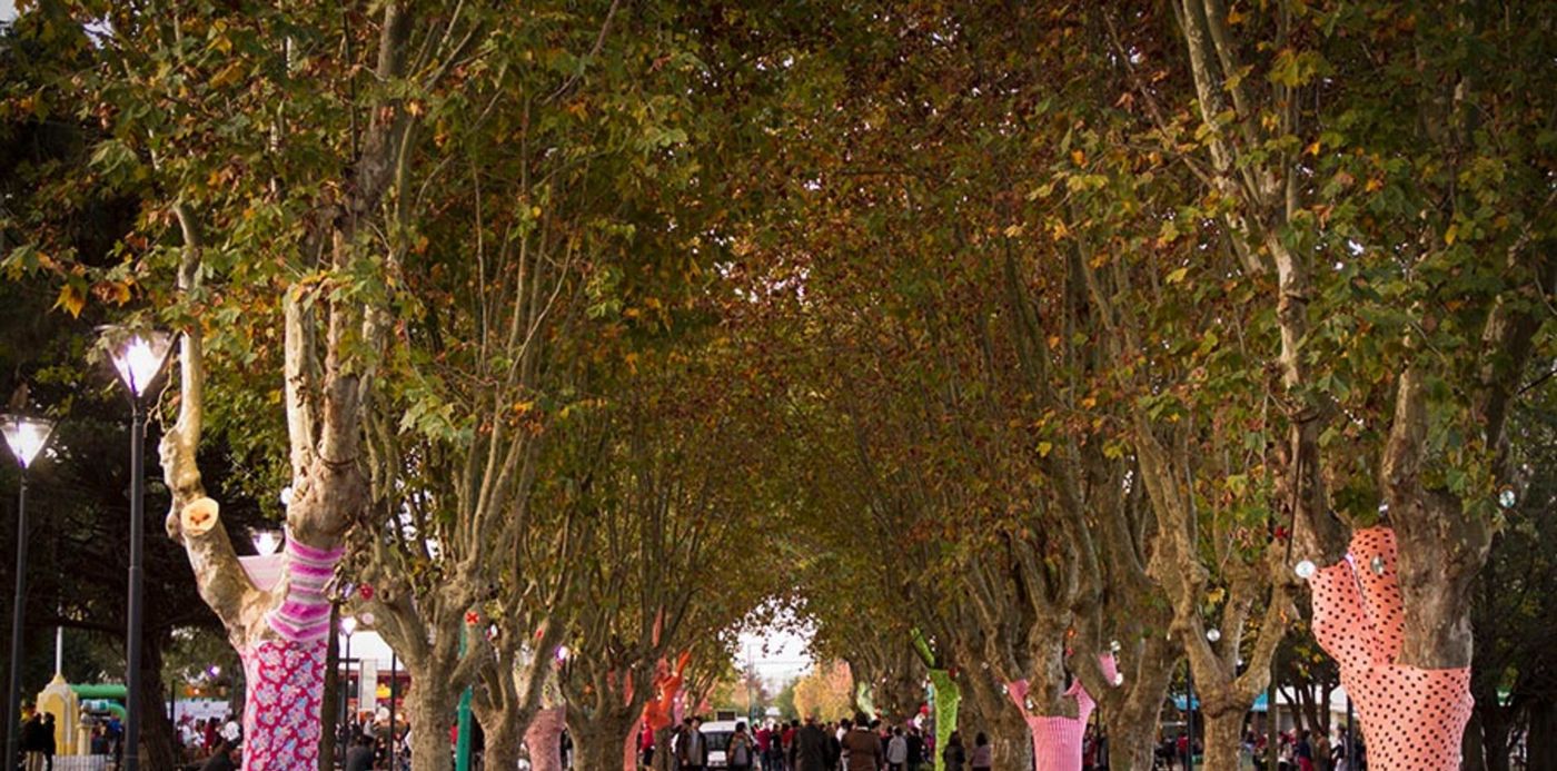 City Bell festeja sus 104 años de vida: conocela desde el aire