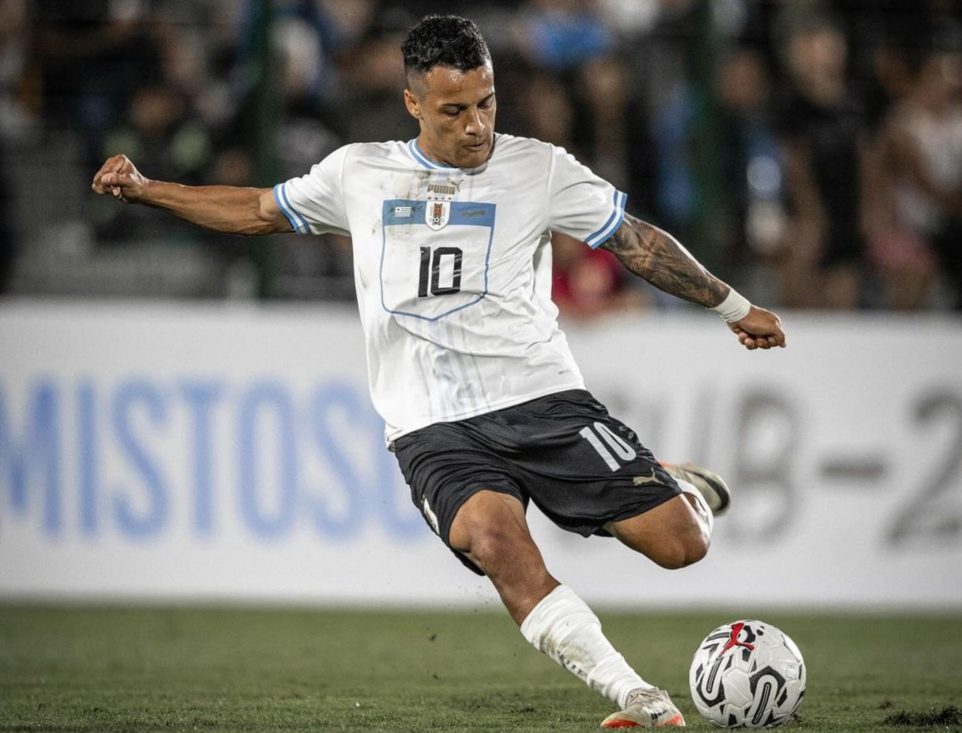 Marcelo Bielsa descartó a Tiago Palacios para jugar en la Selección ...