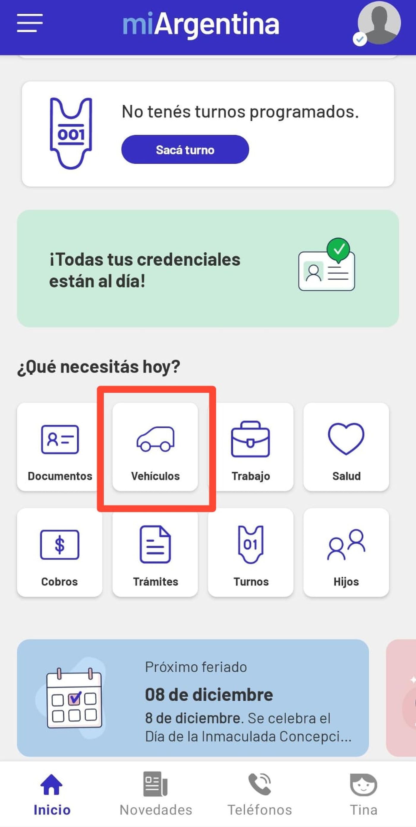 ¿Cómo hacer para tramitar una cédula azul de manera virtual y a través de la app Mi Argentina?