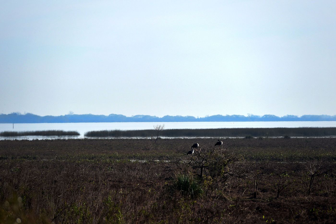Viaje a la Isla Martín García: límite internacional de La Plata, cárcel ...