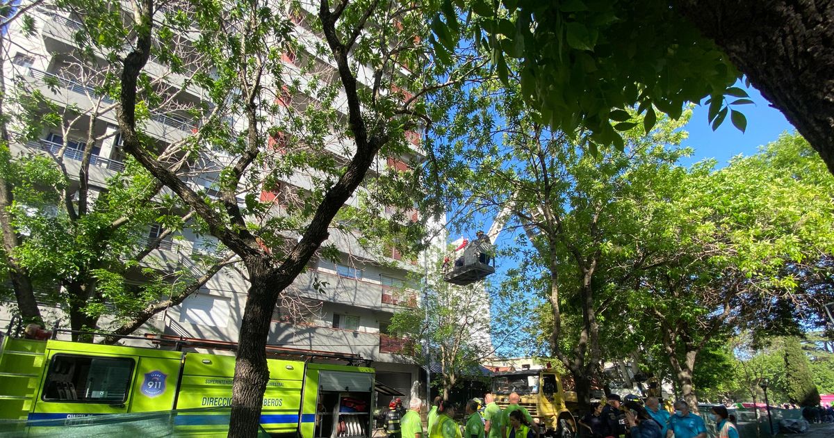 Tensión en La Plata por un incendio en un edificio cercano a Parque ...