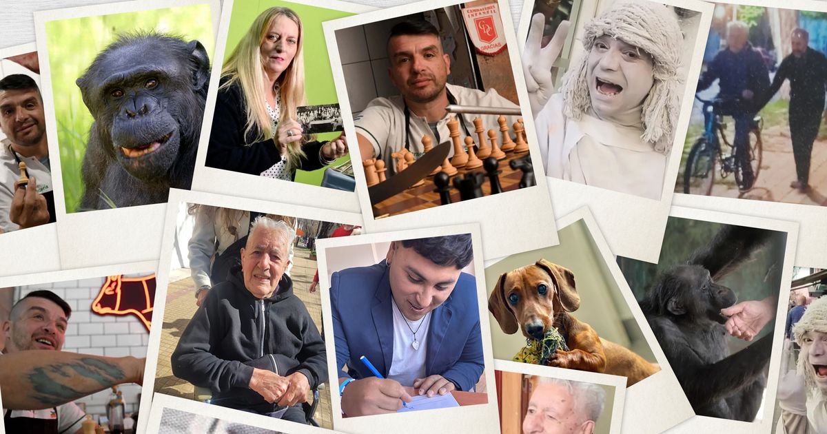 De la prima de Máxima Zorreguieta al carnicero ajedrecista: los ...