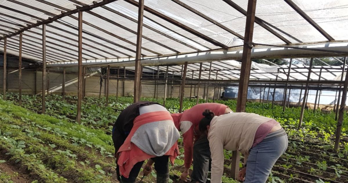 Política financiera y cambiaria vs Economía real y popular