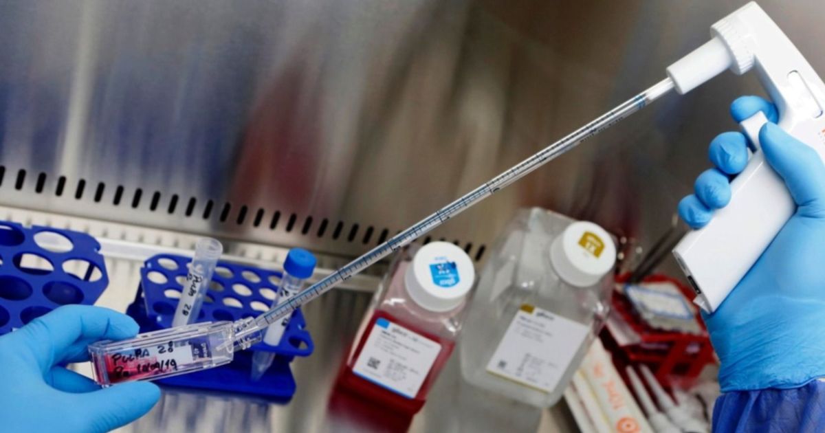 Utilizan semen congelado como biotecnología aplicable en animales de compañía