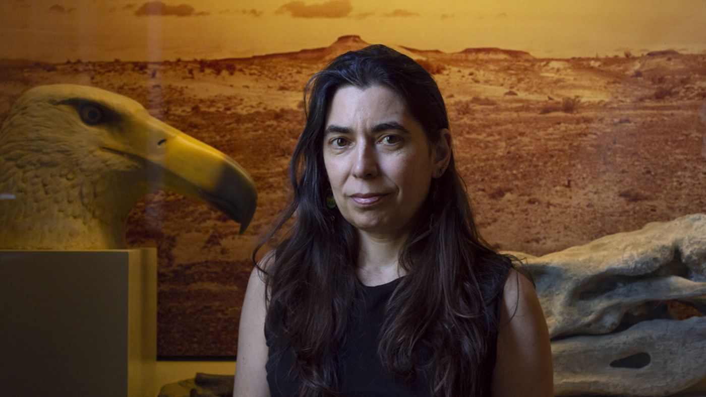 Una investigadora de la UNLP y el CONICET comprobó la presencia de ...