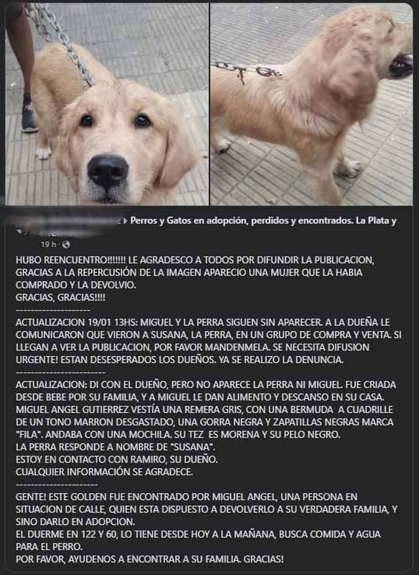 A Quien Llamo Por Un Perro Perdido