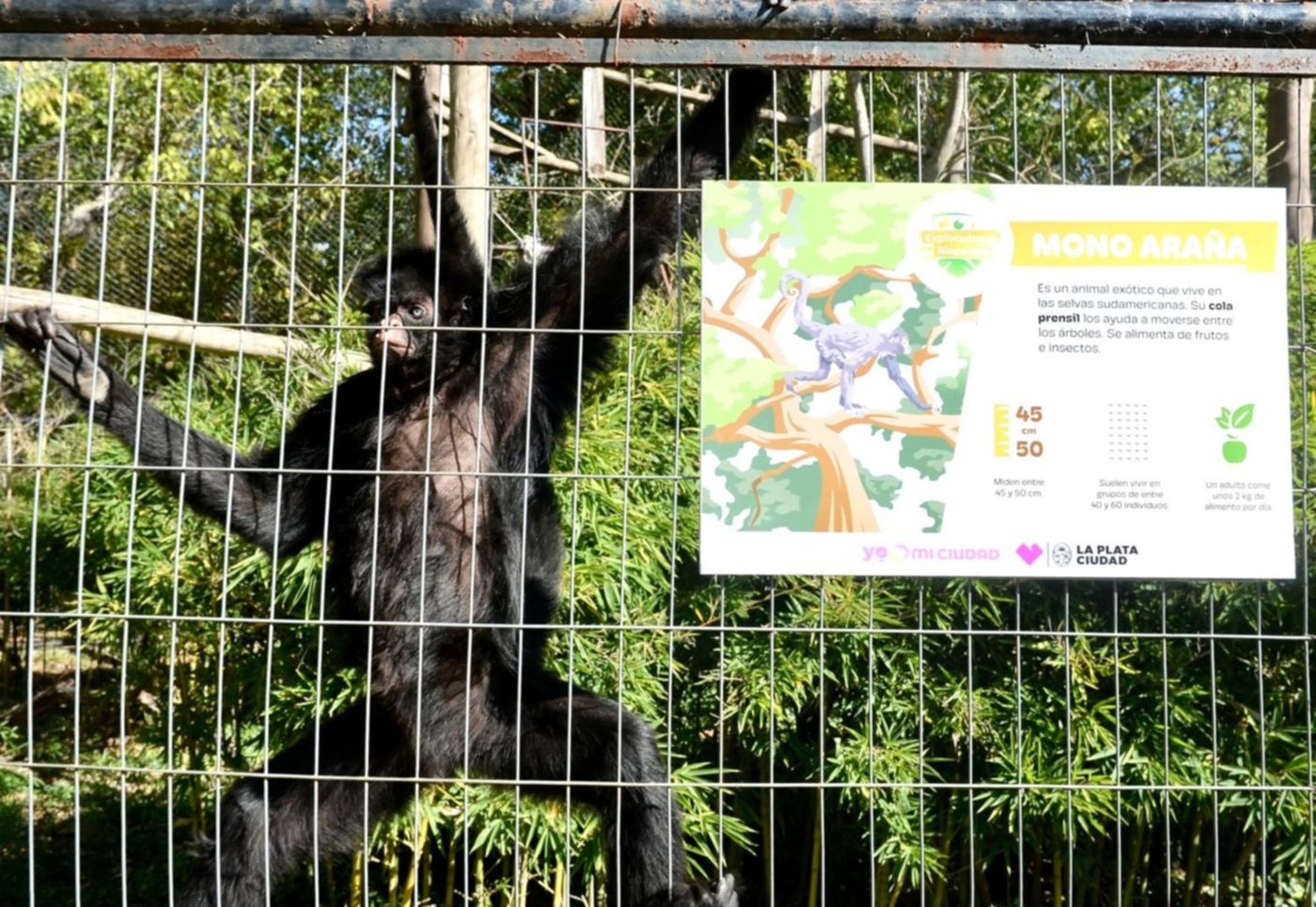 El Bioparque abrió sus puertas y así luce por dentro