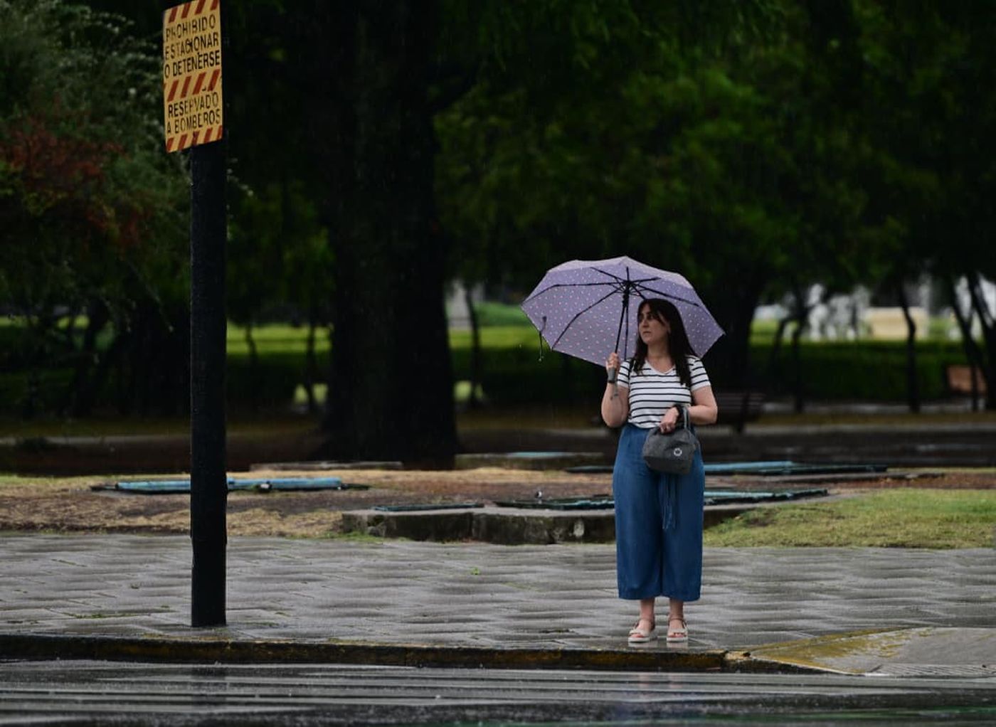 Calles anegadas y árboles caídos: el saldo del temporal de viento y ...