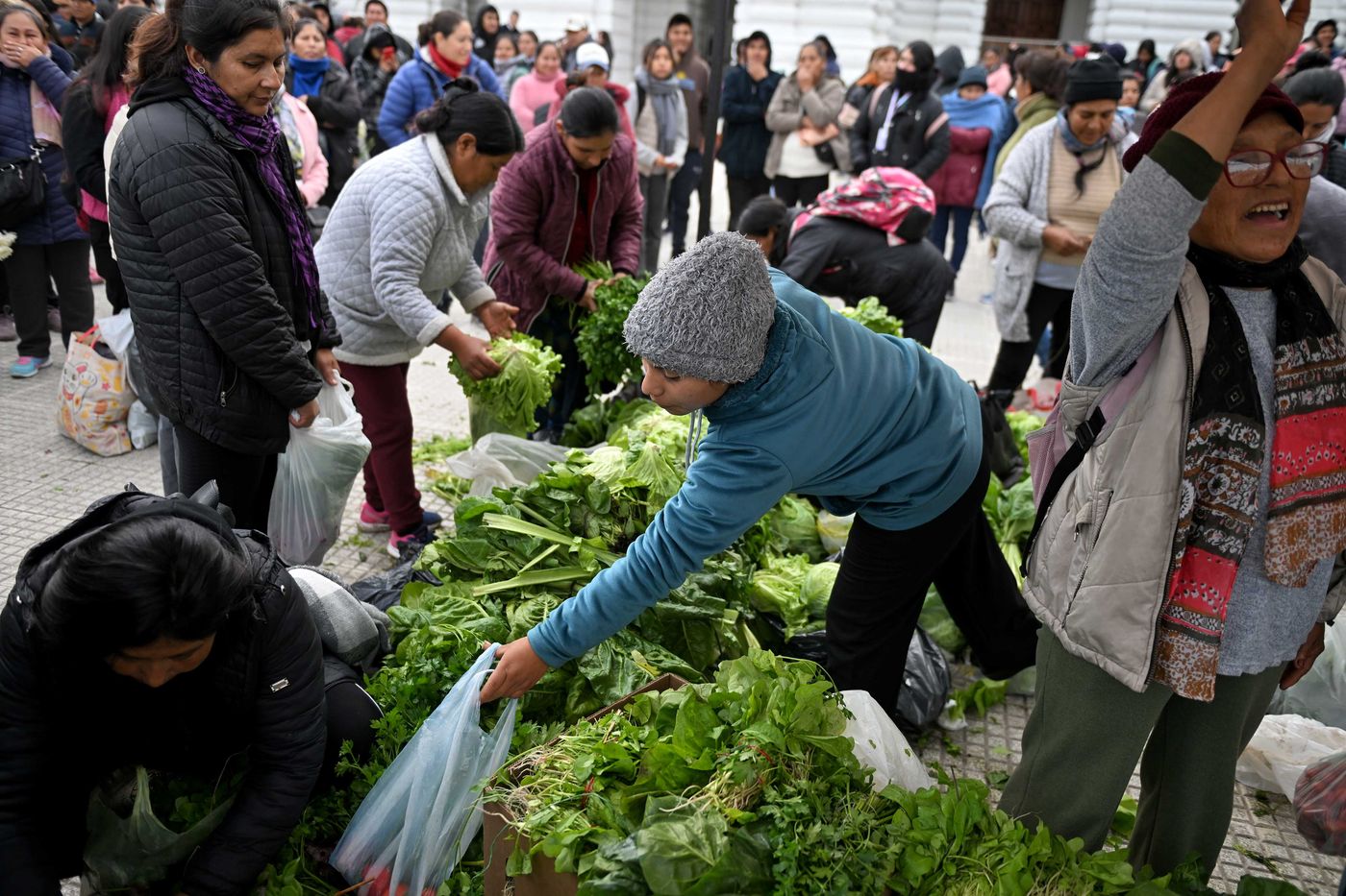 Productores hortícolas hicieron un verdurazo en Plaza Moreno para ...