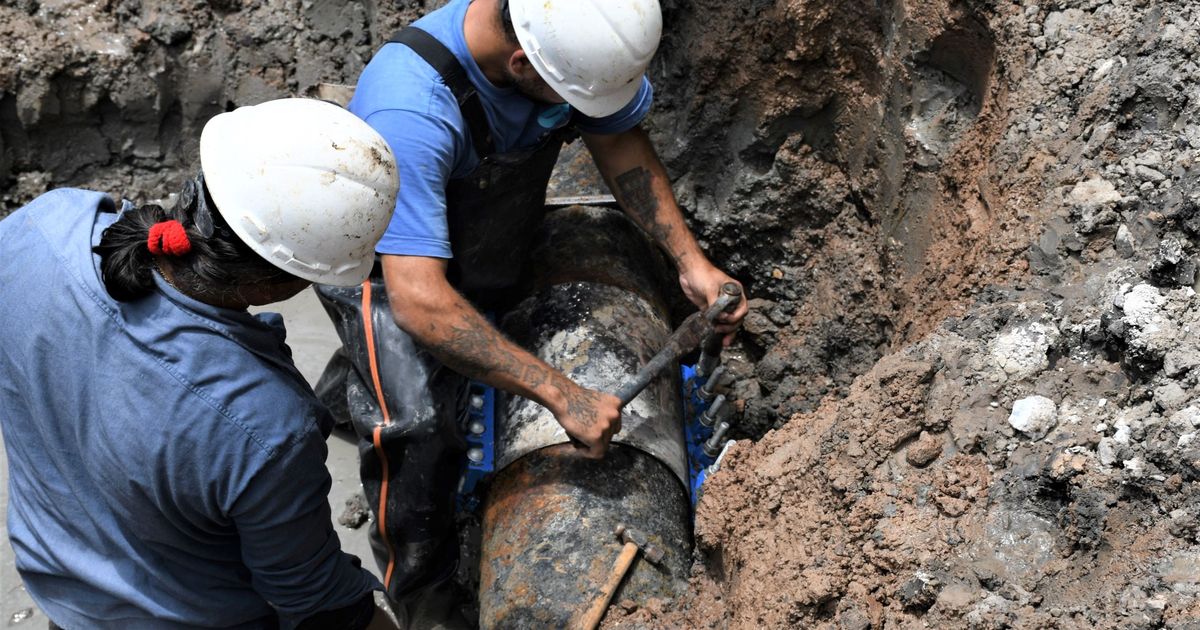 Piden frenar obras de ABSA en un sector de la Reserva Natural de Punta ...