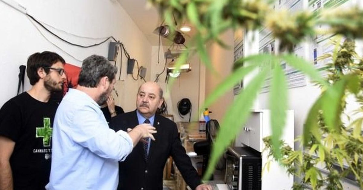 La UNLP inauguró un centro de investigación para los laboratorios de ...
