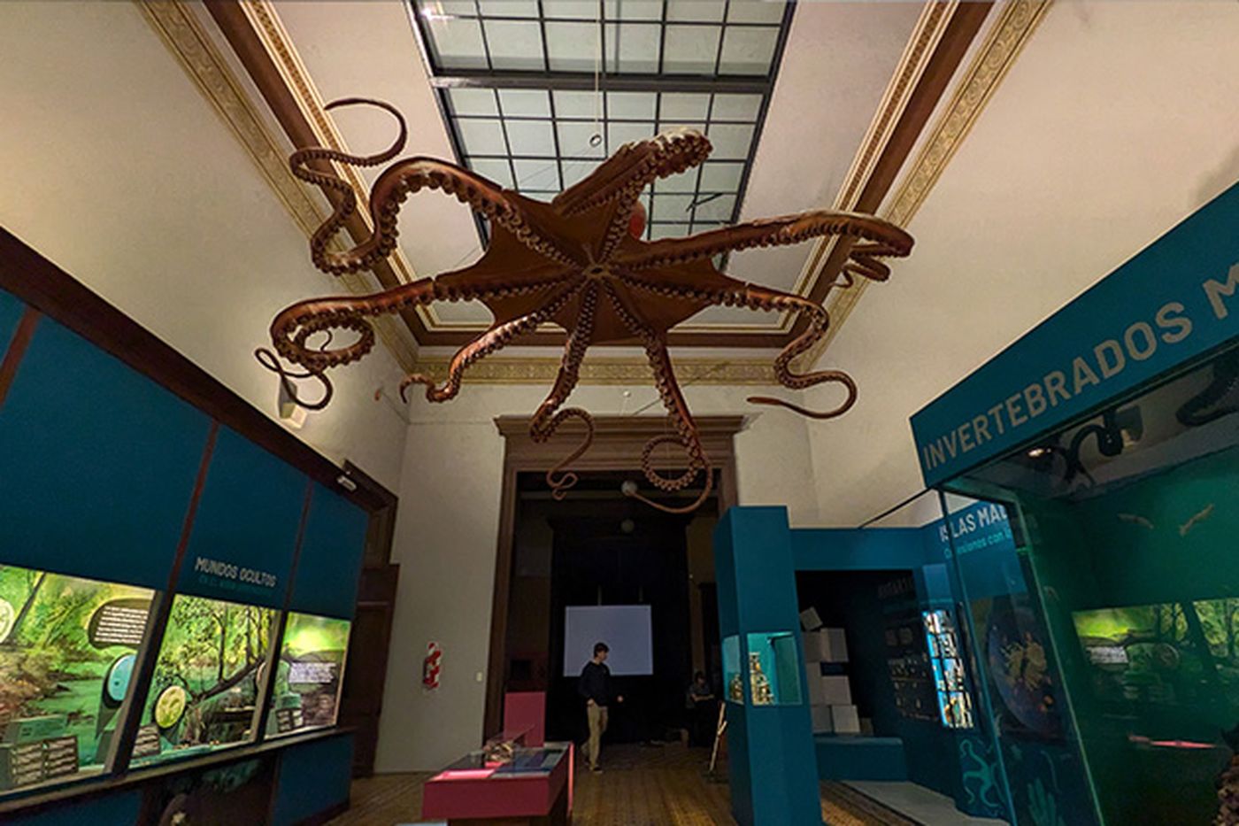 Todas las fotos de la nueva sala del Museo de La Plata dedicada a los ...