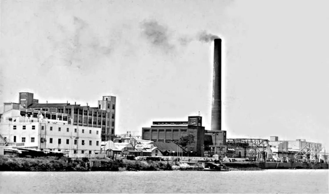 El Nobel que pasó por Berisso y trabajó en un frigorífico