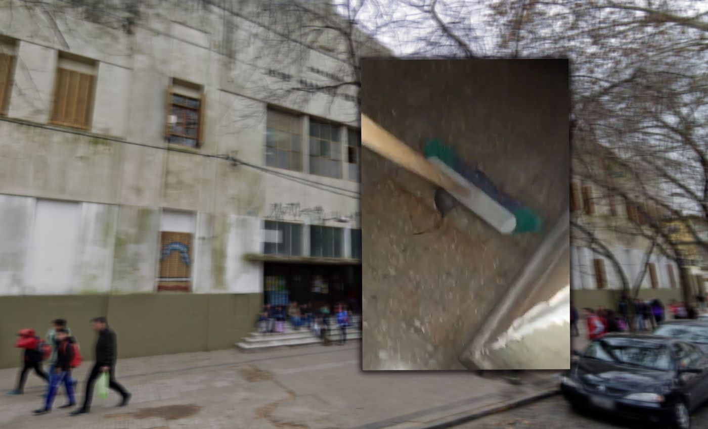 Padres movilizan por la presencia de ratas en una escuela de La Plata