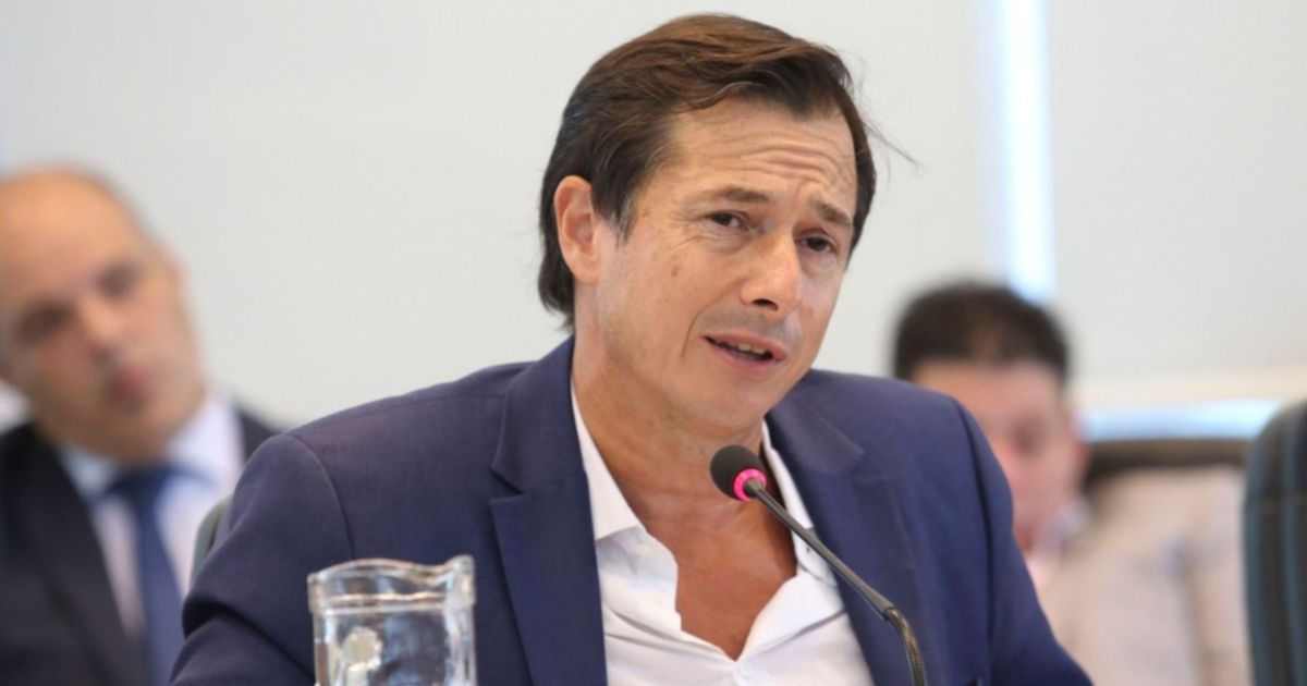 Daniel Lipovetzky criticó a la esposa de Kicillof a pesar de la ...