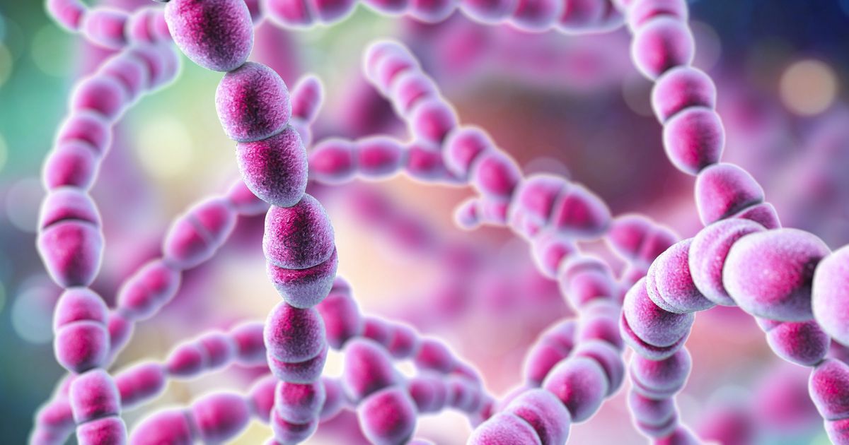 Bacteria Streptococcus Pyogenes: ya provocó 64 muertes en Argentina y ...