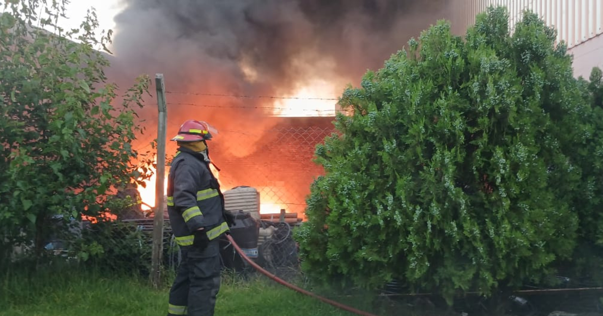 Un voraz incendio en una fábrica de La Plata desató una enorme columna ...
