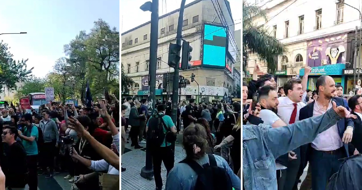 Video: escrache, golpes e insultos entre estudiantes de la UNLP y ...