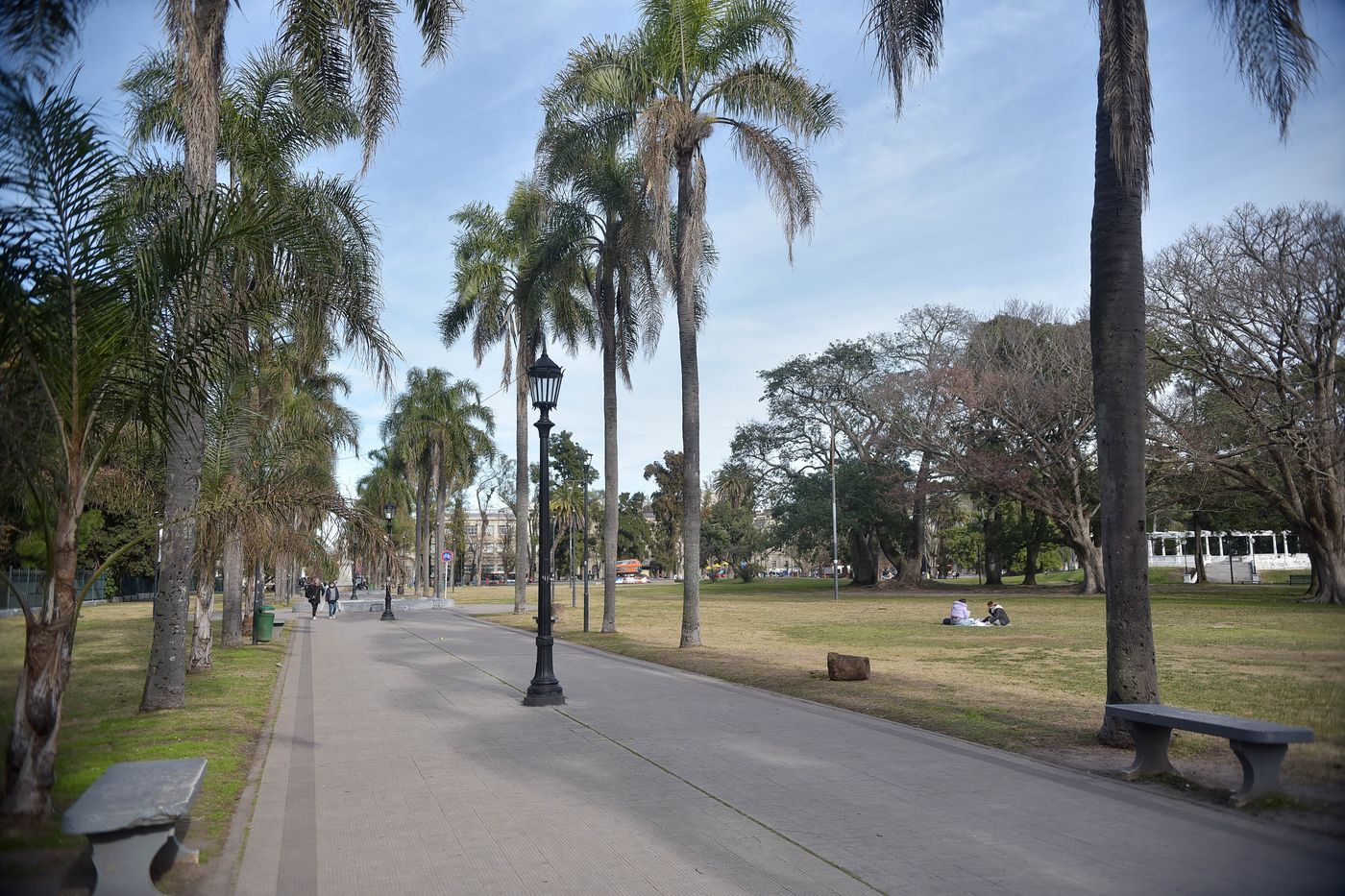 Ponen en valor el Parque Saavedra de La Plata con distintas tareas