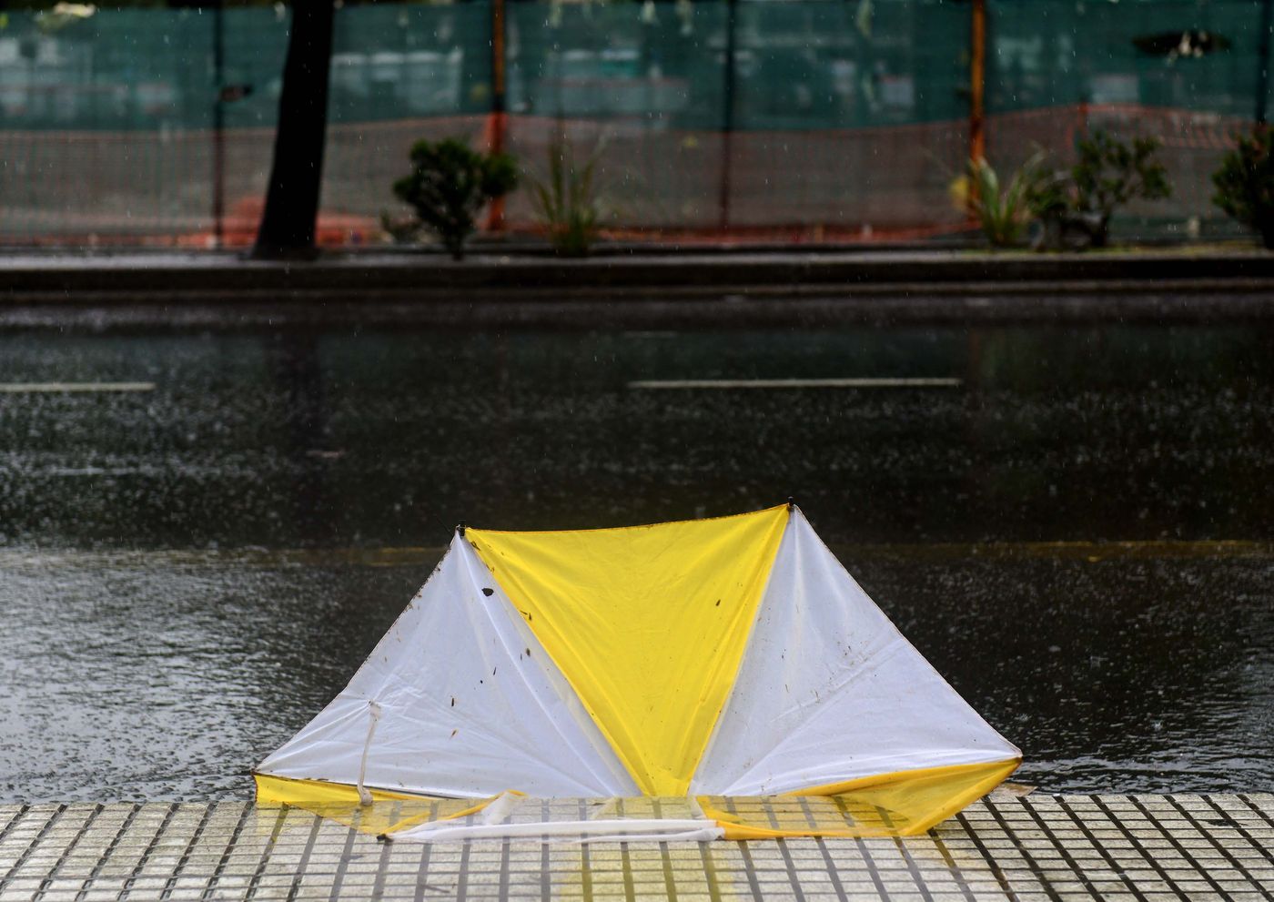 Clima en La Plata: el viernes amaneció con una sorpresiva lluvia en la ...
