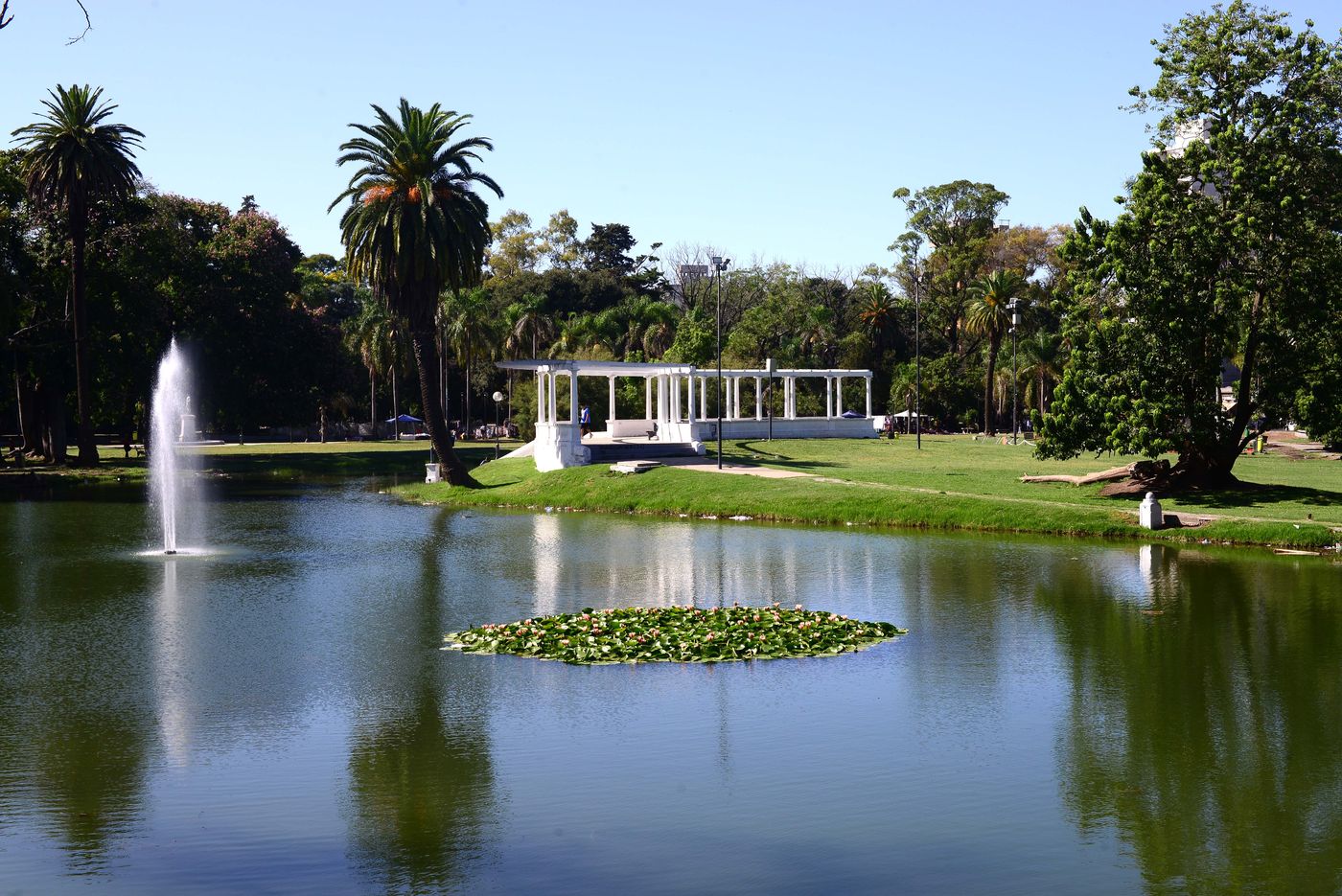 Tras la inauguración de Plaza Rocha, anuncian obras en el Parque ...