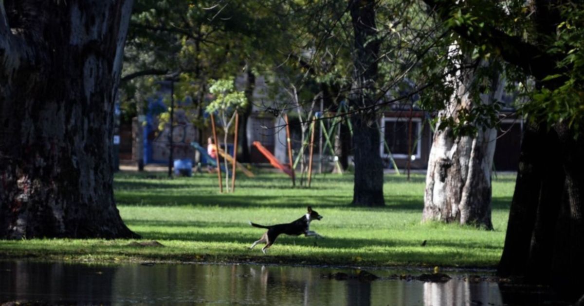 Clima en La Plata: arranca un jueves de sol, agradable y con máxima de 20°C