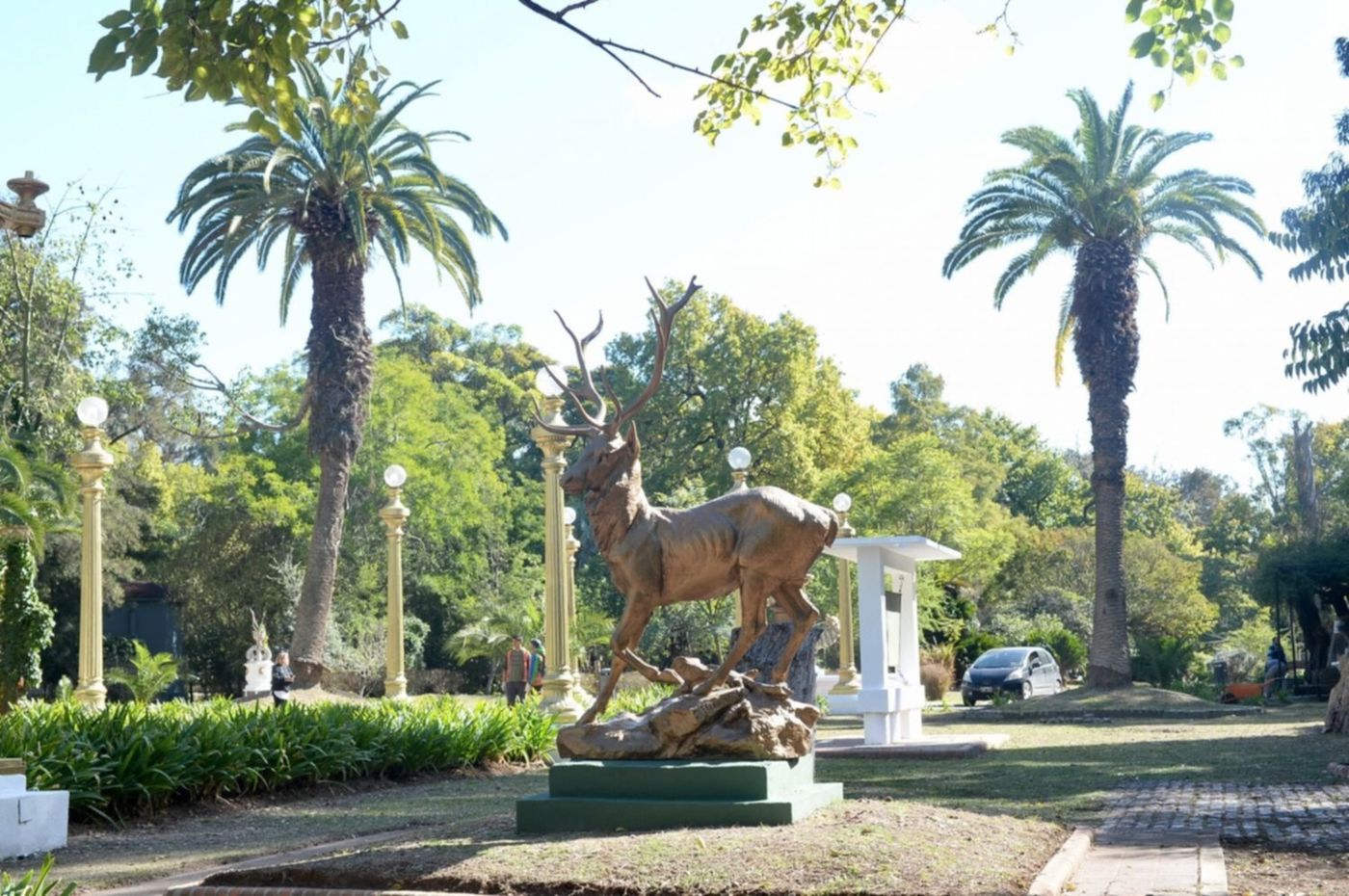 El Bioparque abrió sus puertas y así luce por dentro