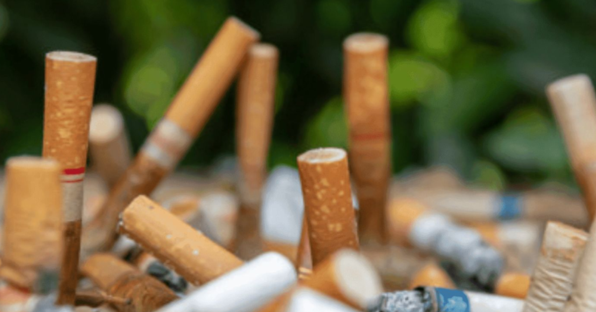 Cuidado ambiental: organizan una recolección de colillas en Plaza Moreno