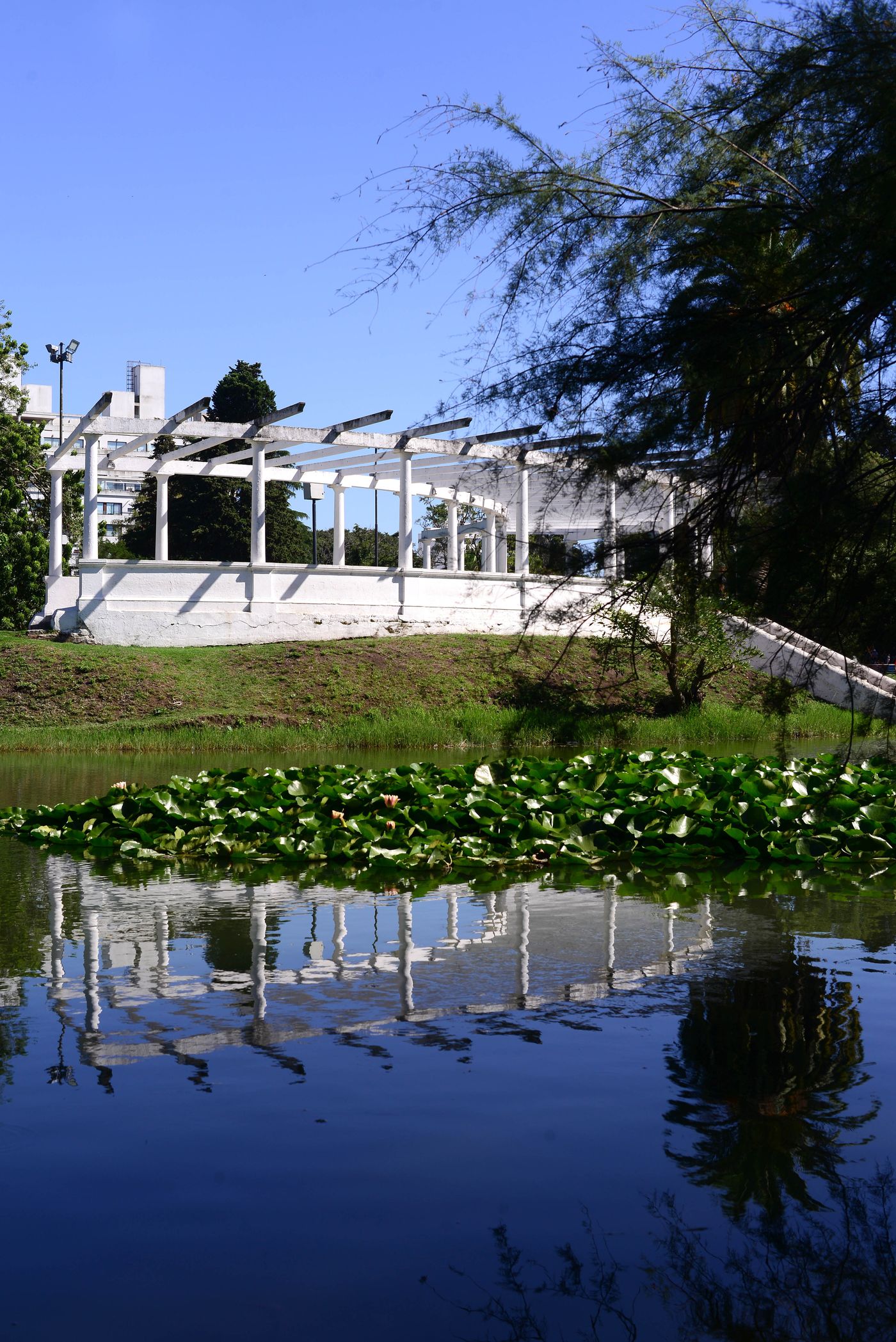 Arranca la renovación del Parque Saavedra de La Plata y la feria ...
