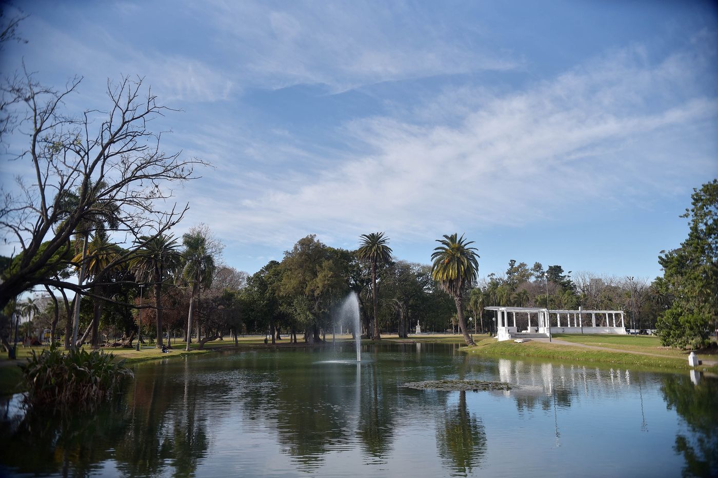 Ponen en valor el Parque Saavedra de La Plata con distintas tareas
